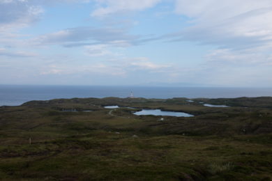 FÀILTE GU ALBA – ALL BUTTERCUPS & smelly feet